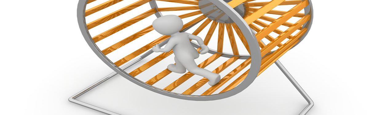 Getting Off the Educational Hamster Wheel | Rural SMH Center Site